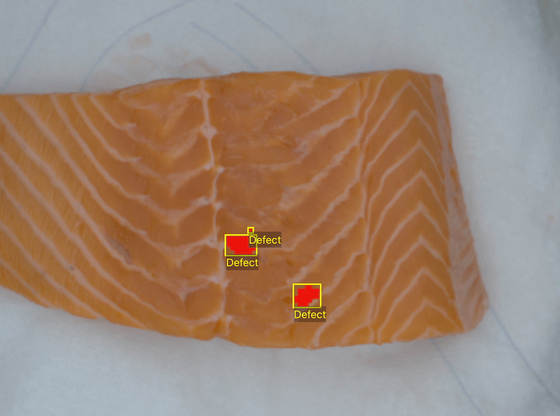 Case Study: Salmon Meat - PEKAT VISION