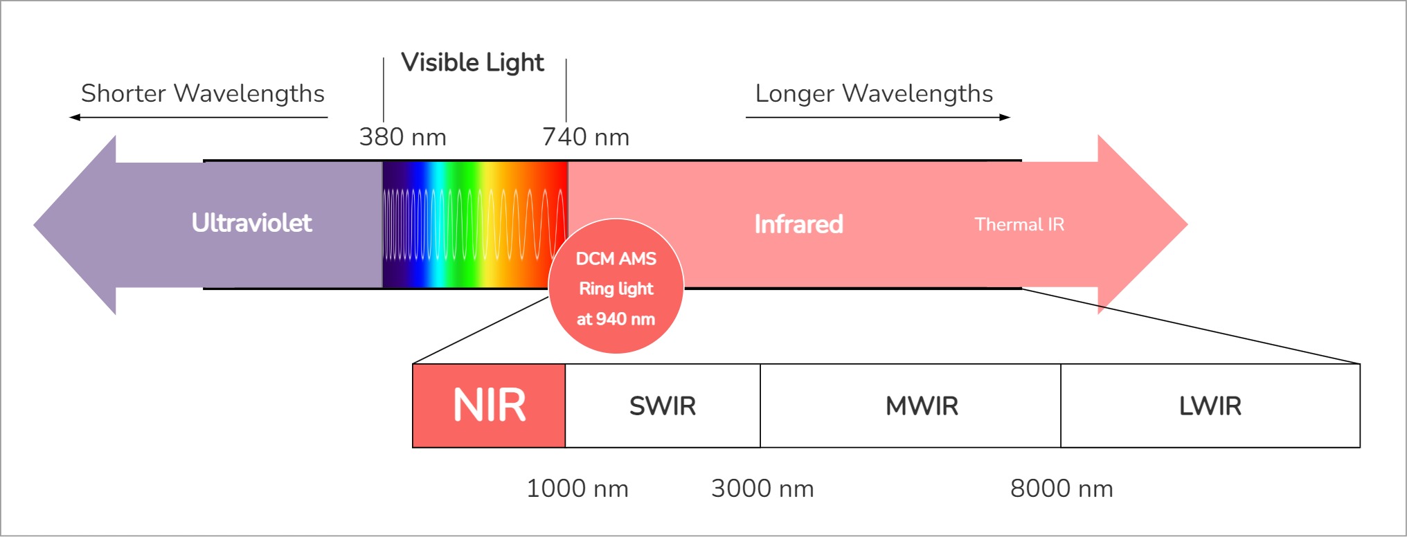 Using NIR Imaging for Food Quality Inspection - PEKAT VISION