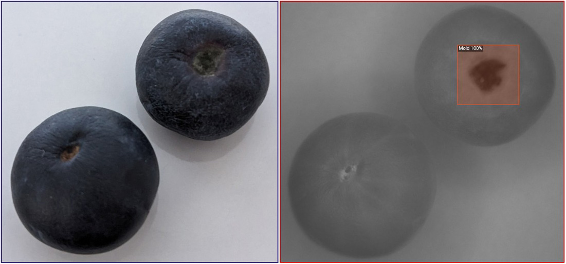Using NIR Imaging for Food Quality Inspection - PEKAT VISION