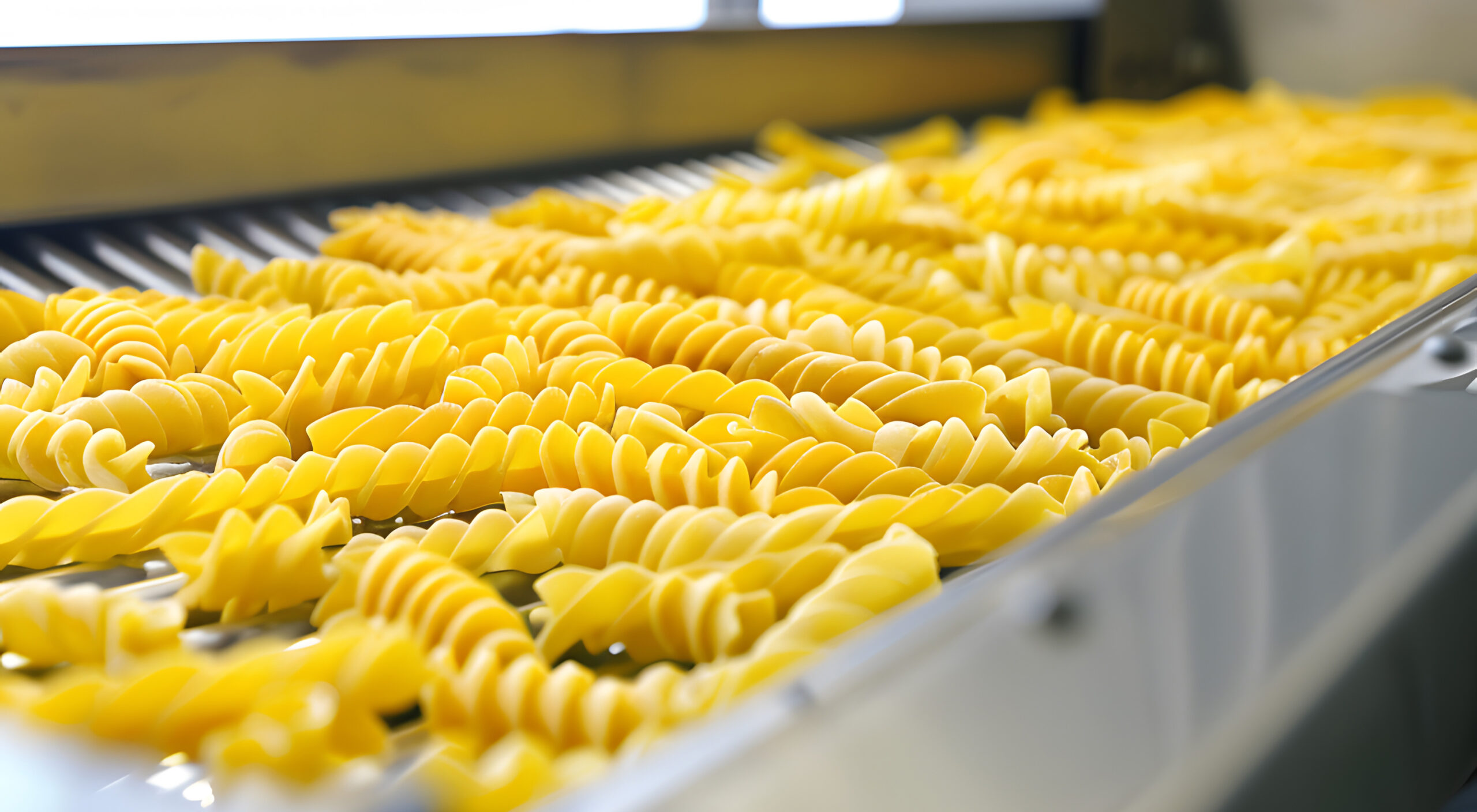 Quality Inspection in Pasta Manufacturing - PEKAT VISION